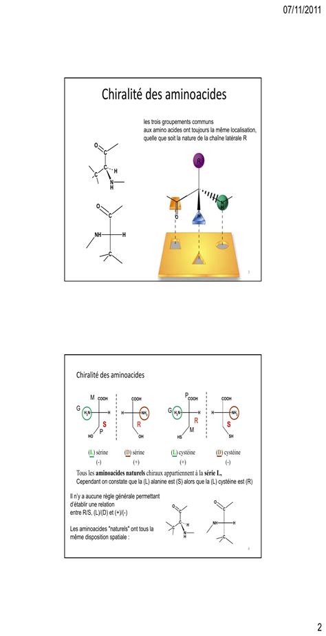 07112011 Acides Aminés Et Dérivés Définition Dérivés Bifonctionnels