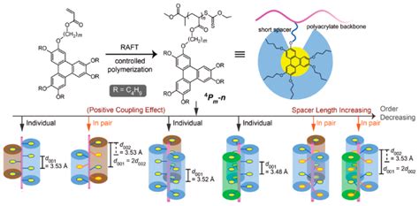 Polymers Free Full Text Recent Advances In Raft Polymerization