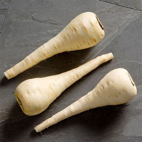 Albion F1 Hybrid Parsnip Seeds Seedsheirloom Albion F1 Hybrid Parsnip Seeds Seedsheirloom