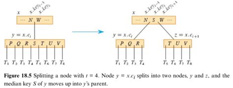 算法导论第四版第十八章B树 第二节B树上的基本操作 知乎