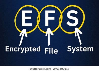 Best Efs File System Royalty Free Images Stock Photos Pictures Shutterstock