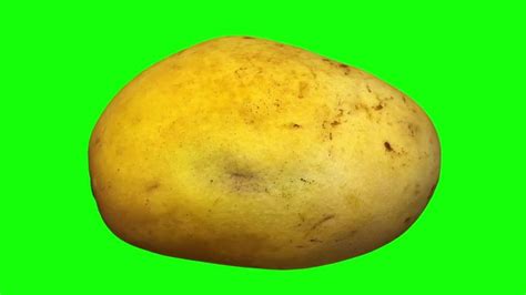 Tuod 이미지 찾아보기 11 스톡 사진 벡터 및 비디오 Adobe Stock