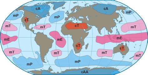 Air Masses Gator 7th Grade Science Classroom
