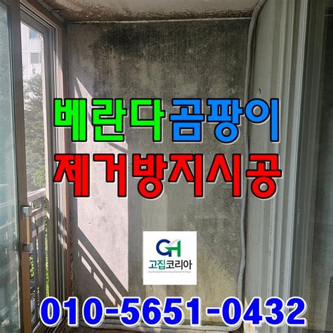 수원 아파트 베란다 곰팡이청소 세탁실 벽 결로방지 페인트 시공 네이버 블로그