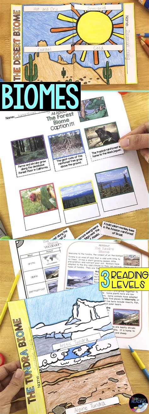 Biomes Unit Differentiated Reading Comprehension Passages And Questions