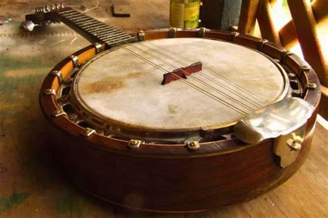 how many strings does a typical banjo have