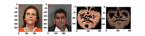 Region Of Interest Extraction For Cheeksforehead And Background Crops Download Scientific
