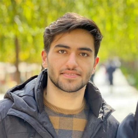 Mohammad Javad A Professional Profile Linkedin