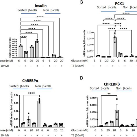 Pck1 Is Expressed In Human ß Cells Exposed To High Glucose And T3