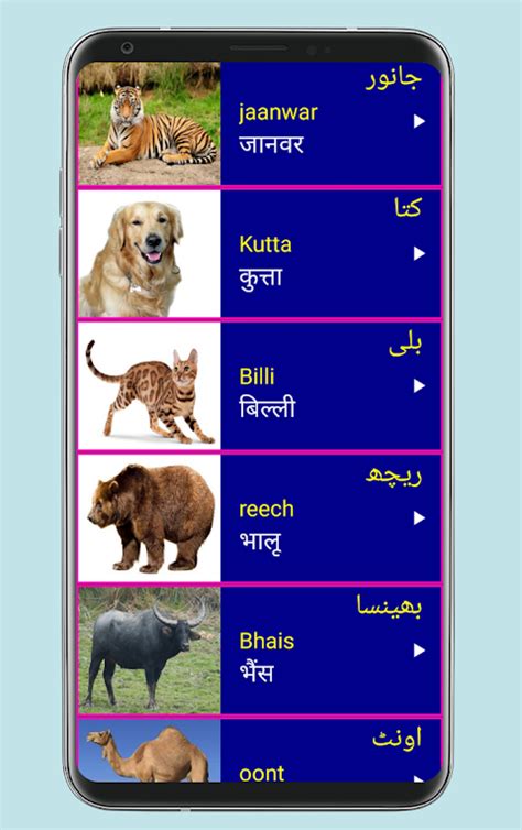 Learn Urdu From Hindi Apk For Android Download