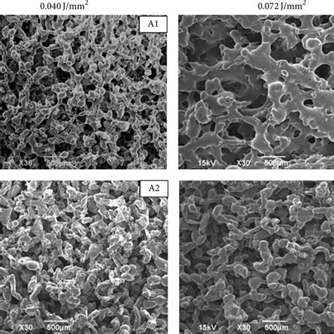 Storage Modulus E′ Of Polycaprolactone Specimens Download