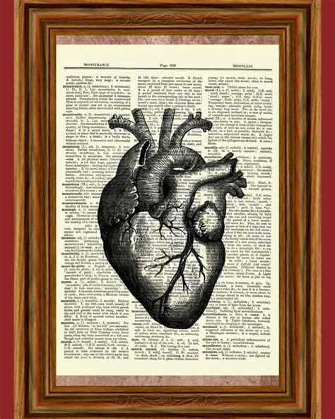 Human Heart Anatomy Vintage