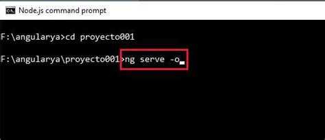 Directivas N Y Ngfor