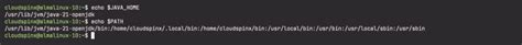 Install Java 21 Lts Openjdk 21 On Almalinux Centos Rhel 10