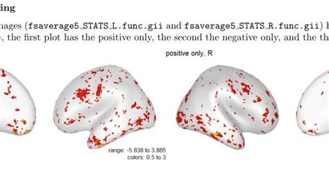 mvpa meanderings volume and surface brain plotting knitr tutorial