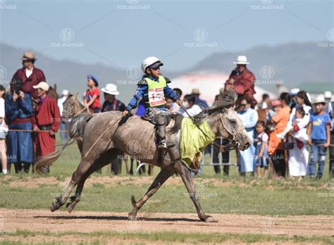 Хэнтий аймгийн 100 жилийн ой зүүн бүсийн уралдаанд байтай уралдсан азарганууд