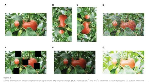 Figure 3 From An Efficient Tomato Detection Method Based On Improved