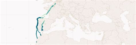 There And Back Again Gull Migration Data Visualized Open Science Lab