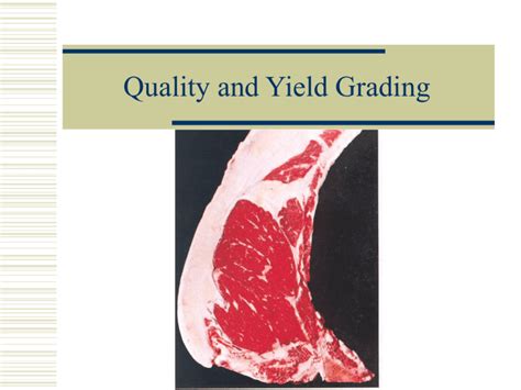 Meat Evaluation Beef Yield Grading At Ellen Martinez Blog
