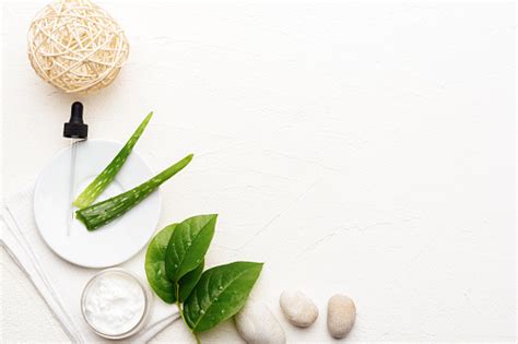 신선하고 천연 알로에 베라 화장품 배경 Emty 공간 핸드메이드 스킨 케어 제품 얼굴 치료 준비 및 피부 상쾌한 크림 배경 천연 화장품과 플랫 레이 조성물 메이크업 화장품에