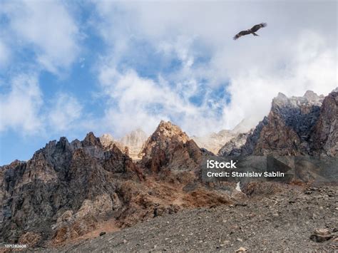 푸른 흐린 하늘 아래 날카로운 바위 위에 독수리와 경치 산 풍경 안개가 자욱한 바위 산맥과 다채로운 풍경 황금 빛에 높은 바위 산 가장자리에 대한 스톡 사진 및 기타 이미지
