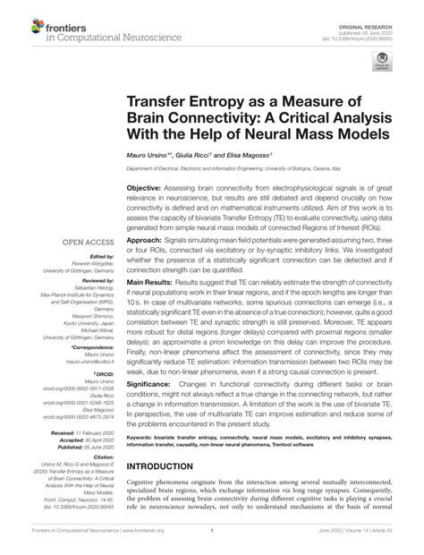 Pdf Transfer Entropy As A Measure Of Brain Connectivity A Critical Analysis With The Help Of