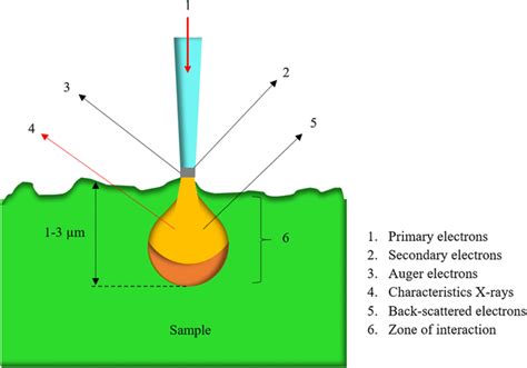 Schematic Diagram Showing Sample Electron Interaction Phenomenon Of