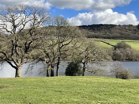 Lakeside Trees © John H Darch Cc By Sa 2 0 Geograph Britain And Ireland