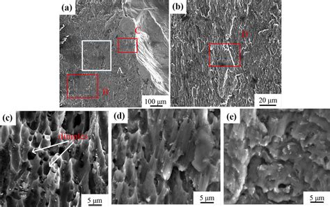 The Overall Morphology And Local Characteristics Of Fracture A Overall Download Scientific