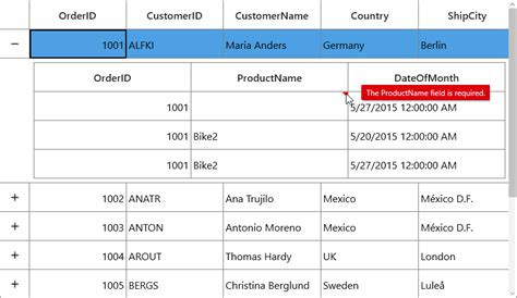 Data Validation In Uwp Datagrid Control Syncfusion®