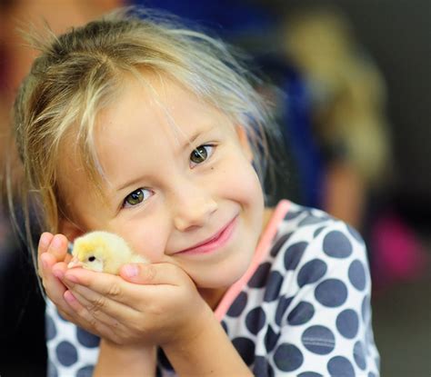 Kentucky Agriculture And Environment In The Classroom Programs And Lessons — Teachkyag