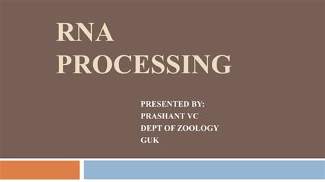 Rna Processing Completepptx