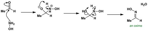 Oxime Formation