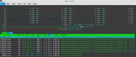 Jupyterlab Randomly Eat All My Memory Issue Jupyterlab Jupyterlab GitHub