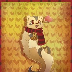 Ferret On Tumblr