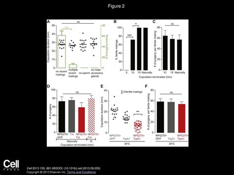 Opposing Dopaminergic And GABAergic Neurons Control The Duration And Persistence Of Copulation