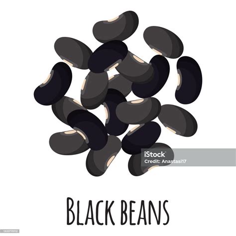 템플릿 농부 시장 디자인 라벨 및 포장을위한 검은 콩 천연 에너지 단백질 유기농 슈퍼 푸드 거친 필름 효과에 대한 스톡 벡터