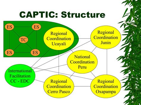 Proyecto Captic Peru 2004 Ppt