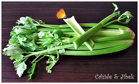Celery Cahide Sultan بِسْمِ اللهِ الرَّحْمنِ الرَّحِيمِ