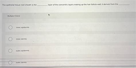 Solved The Epithelial Tissue Root Sheath Is The Layer Of The