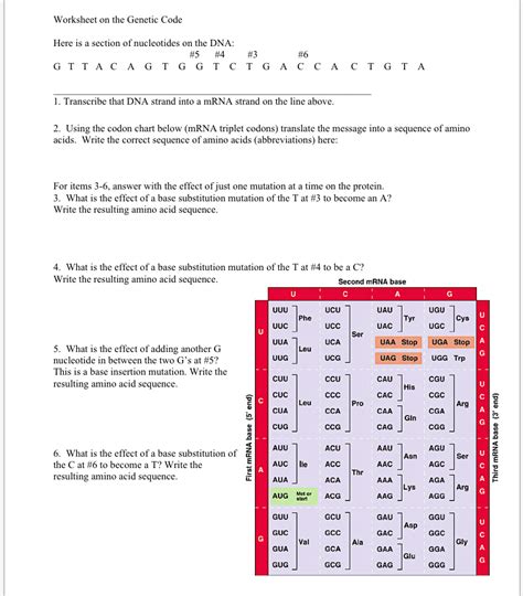 Solved Worksheet On The Genetic Code Here Is A Section Of