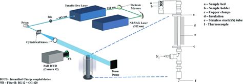 Schematics Of Experimental Setup And Reactor Set Up Download Scientific Diagram