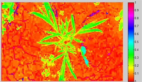 Matlab Excessive Green Color Extraction Implementation Stack Overflow