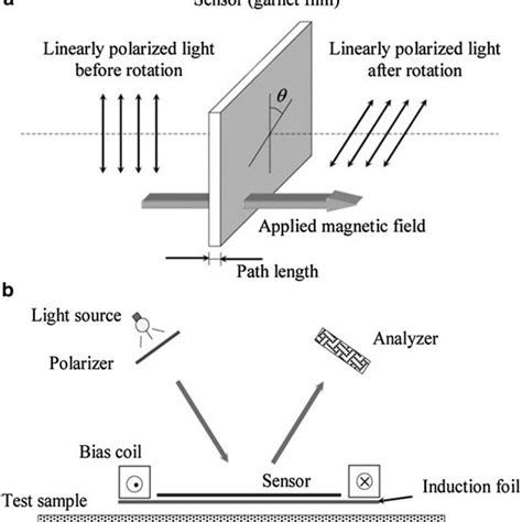 A Faraday Rotation Effect And B Schematic Of Magneto Optic Imaging Download Scientific