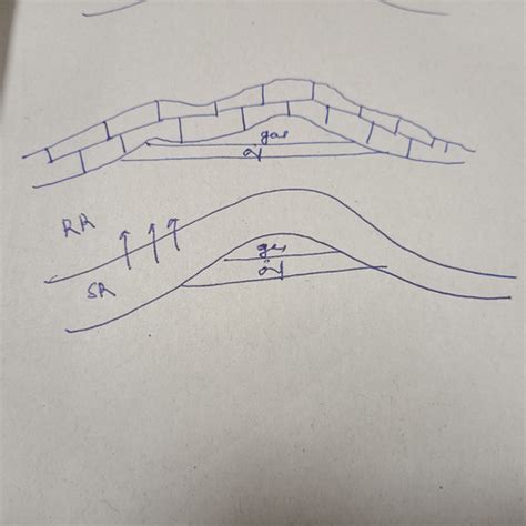 Differentiate Between Primary And Secondary Migration Flashcards Quizlet