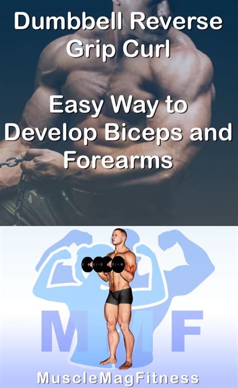 Dumbbell Reverse Grip Curl Easy Way To Develop Biceps And Forearms