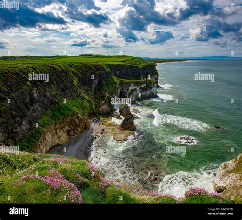 The White Rocks At Portrush Causeway Coastal Route County Antrim