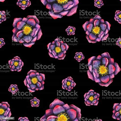 헬레 보어 블랙 어두운 배경에 수채화 요소의 매끄러운 패턴입니다 손으로 그린 꽃 새싹 나뭇잎 카드 초대장 직물 및 종이 제품에 대한 수채화 식물 작업 개화기에 대한 스톡