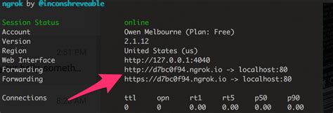 Nodejs Ngrok Retrieve Assigned Subdomain Stack Overflow