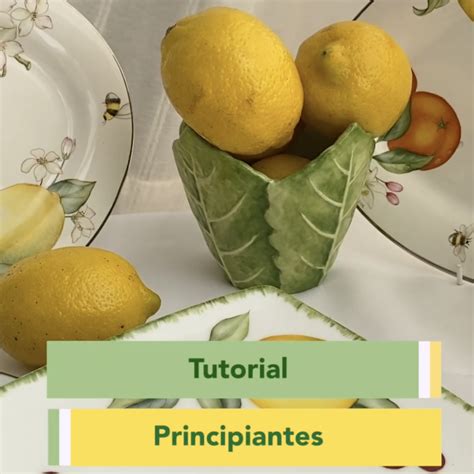 Tutorial Para Principiantes Dba Originals